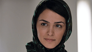 HOMELAND／ホームランド シーズン3 登場人物紹介と相関図 | VODフリーク